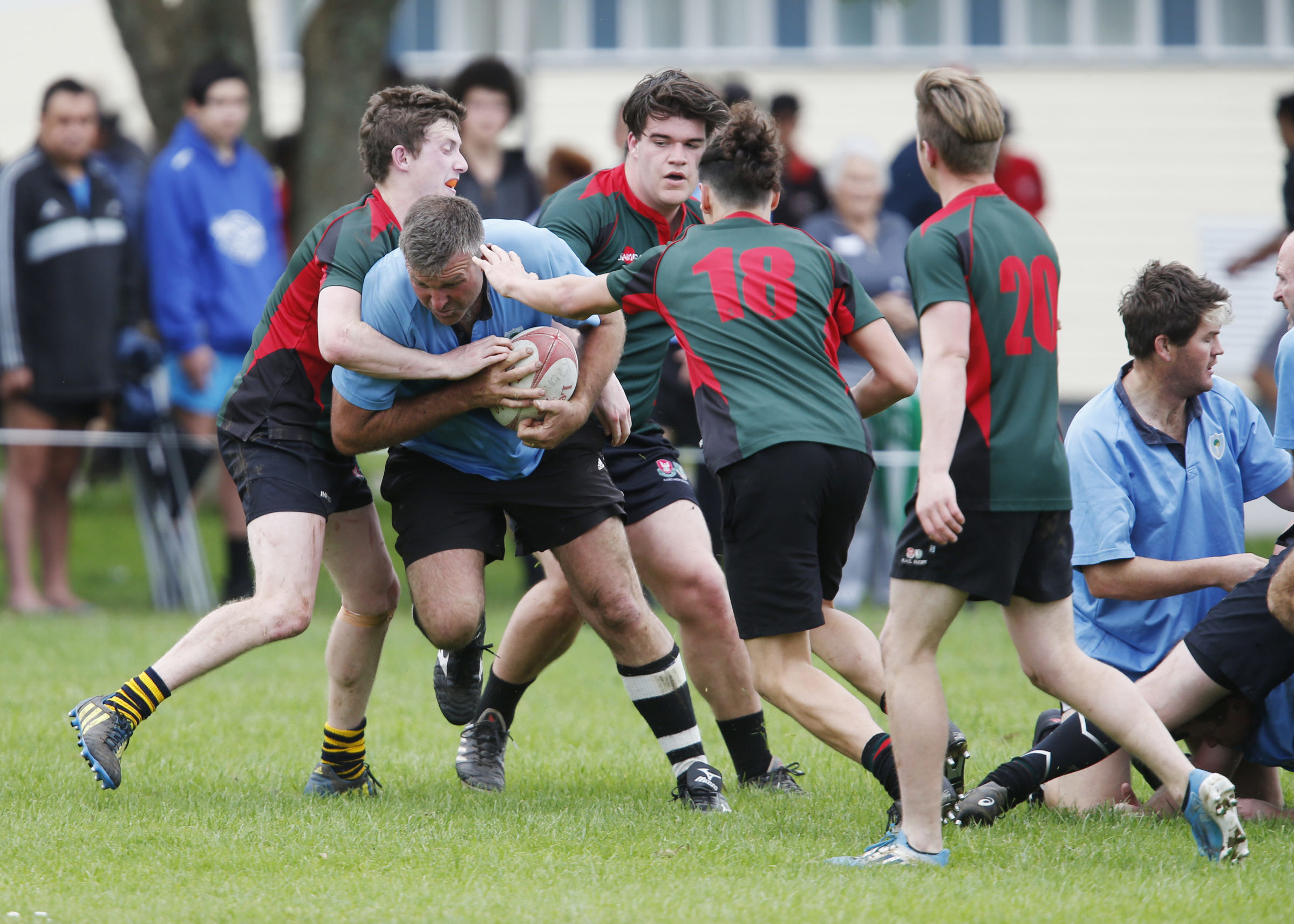 Kamo High School – Study Northland | International Students | Northland ...