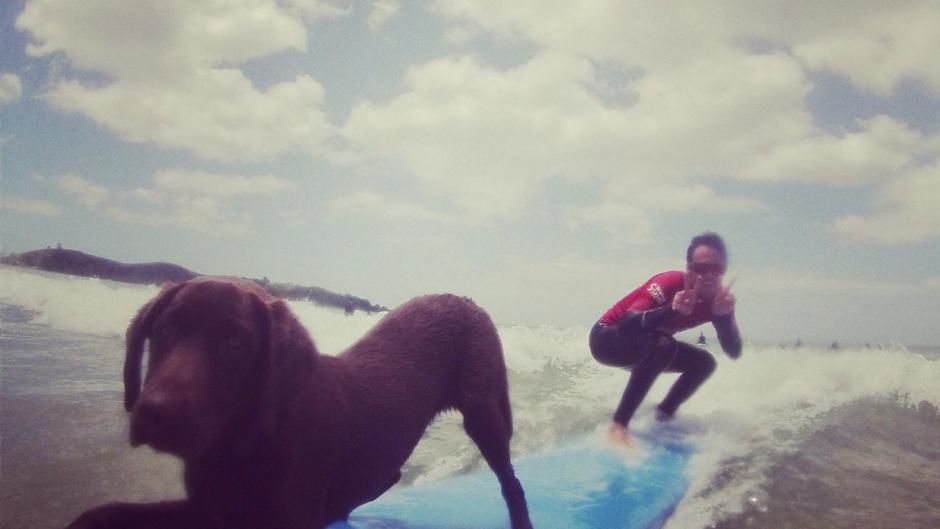 Surfing at Sandy Bay, Tutukaka – Study Northland | International ...
